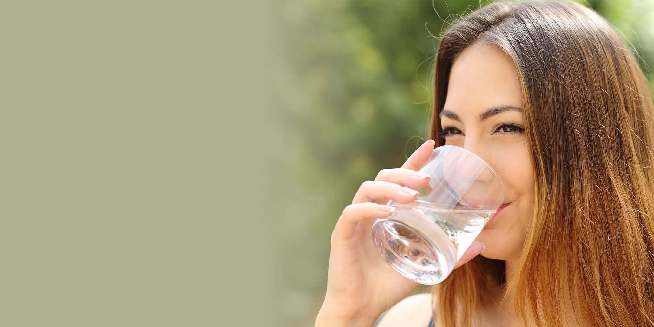 Hardless NG Water Filter - Whole House Filtration & Conditioning